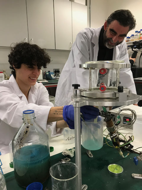 Mattering Life: Investigating contemporary science through art, design ...