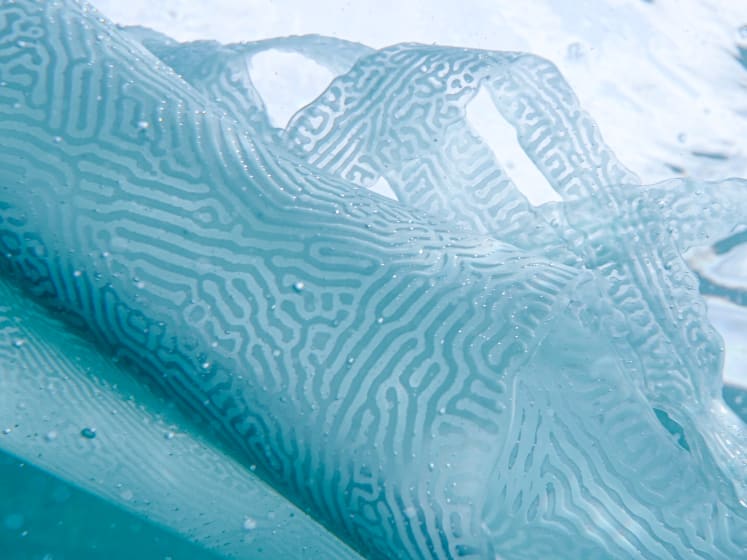 Lucid Life | Marama Ora - Christopher Bellamy - UAL Showcase