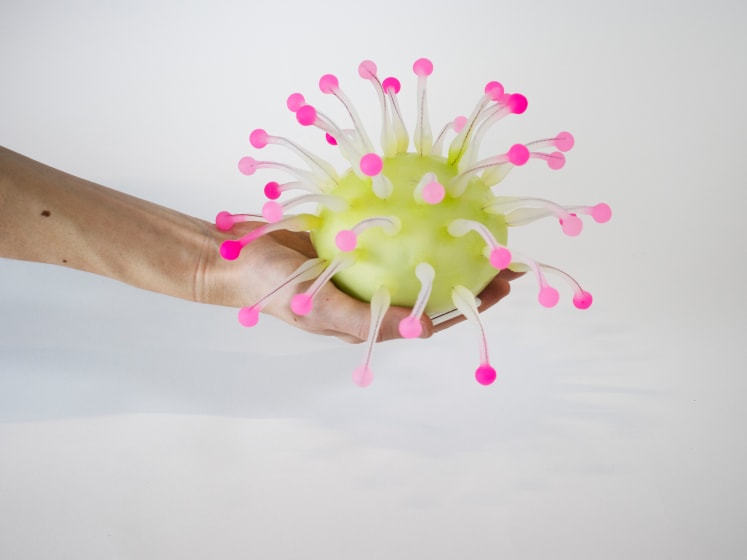 Hive - Nature-Centric AI - Nina Redman - UAL Showcase