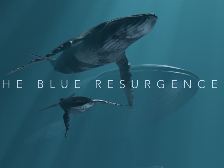 The Blue Resurgence - Jana Nasr - UAL Showcase