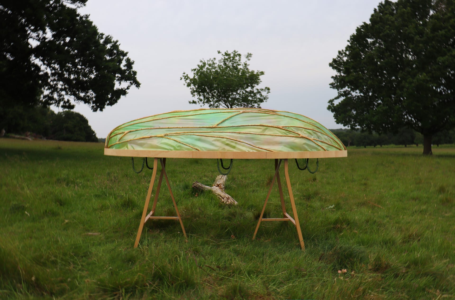 Continuum: The Burial Cocoon that Sprouts Flowers - Aleksa (Leksi ...