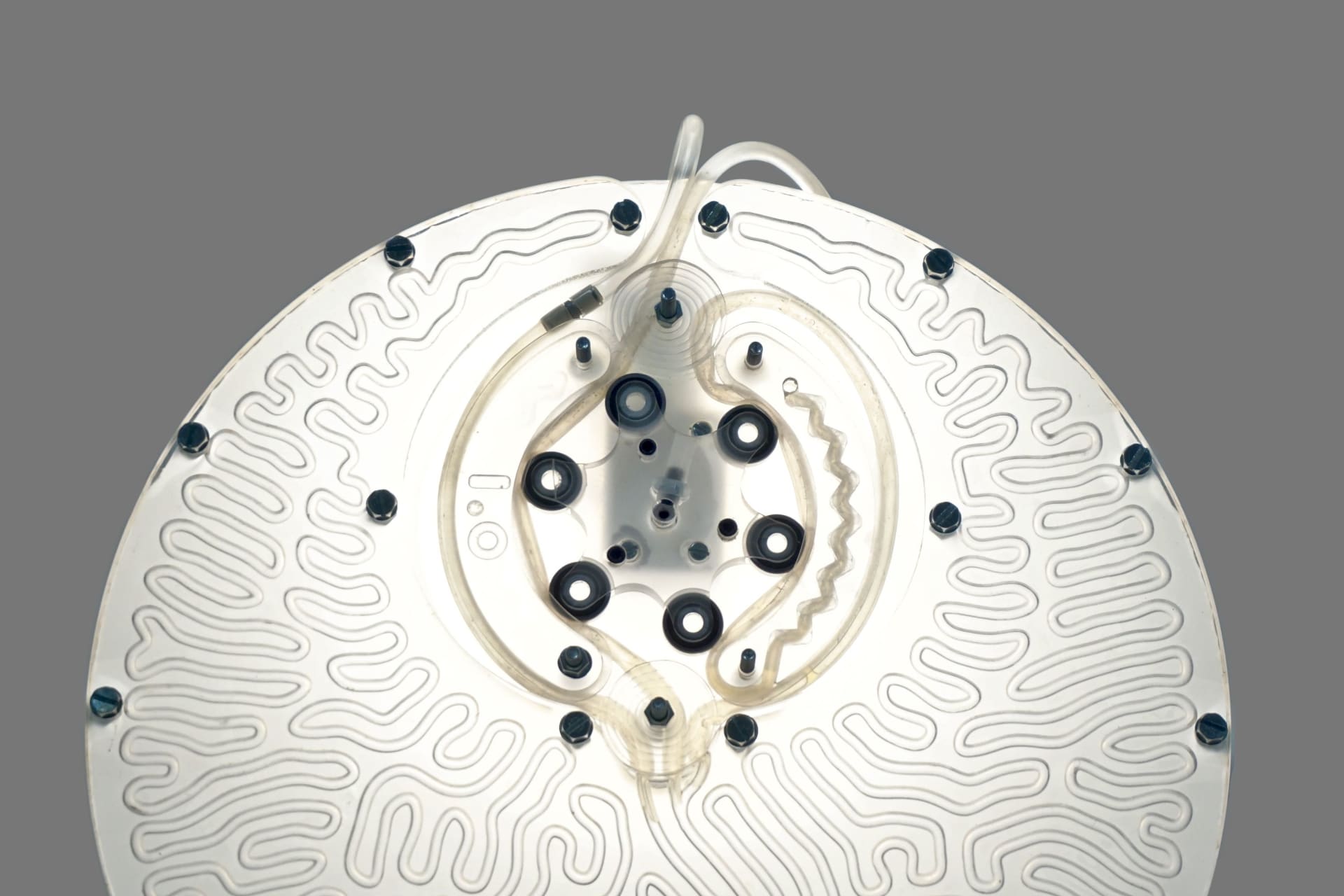 Symbiocene, Living Furniture - Peter Nasielski - UAL Showcase