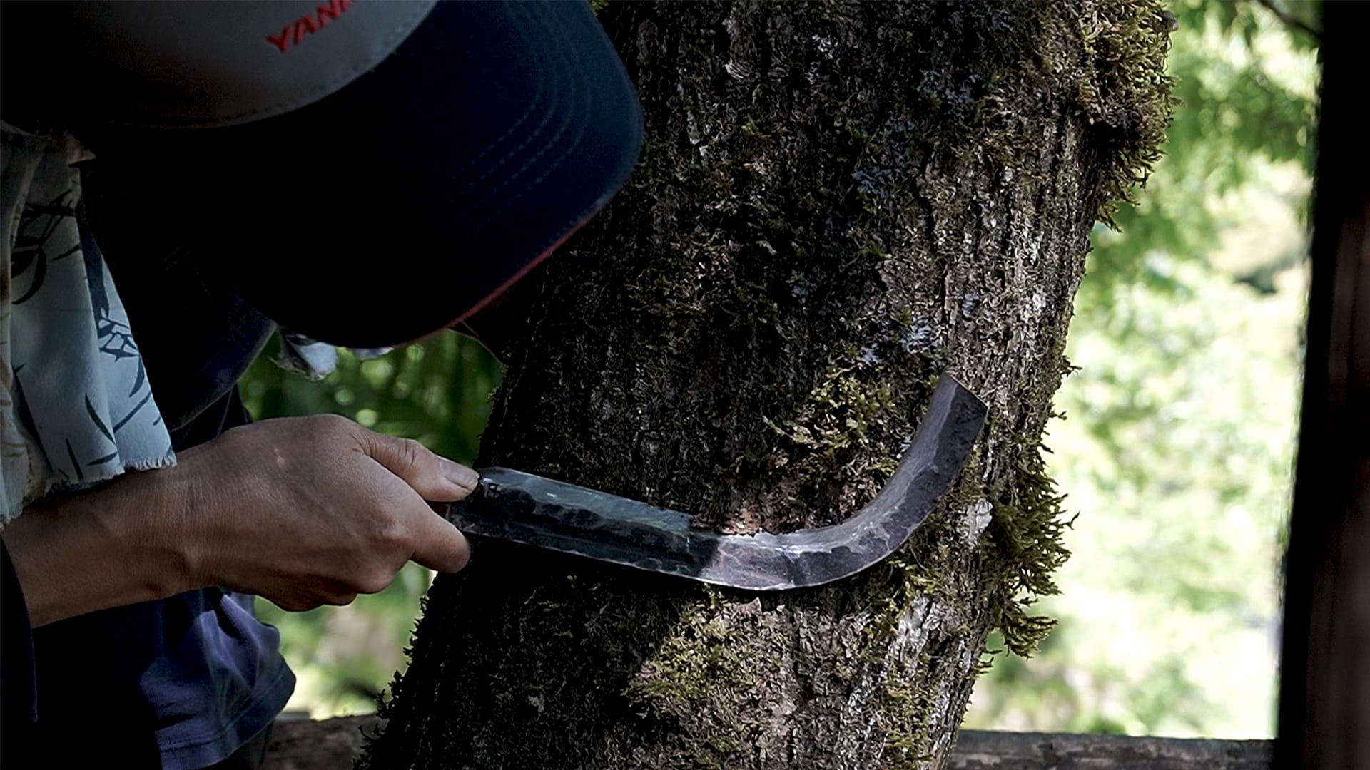 RADIANCE OF NATURE WITH URUSHI - Yu Watanabe - UAL Showcase