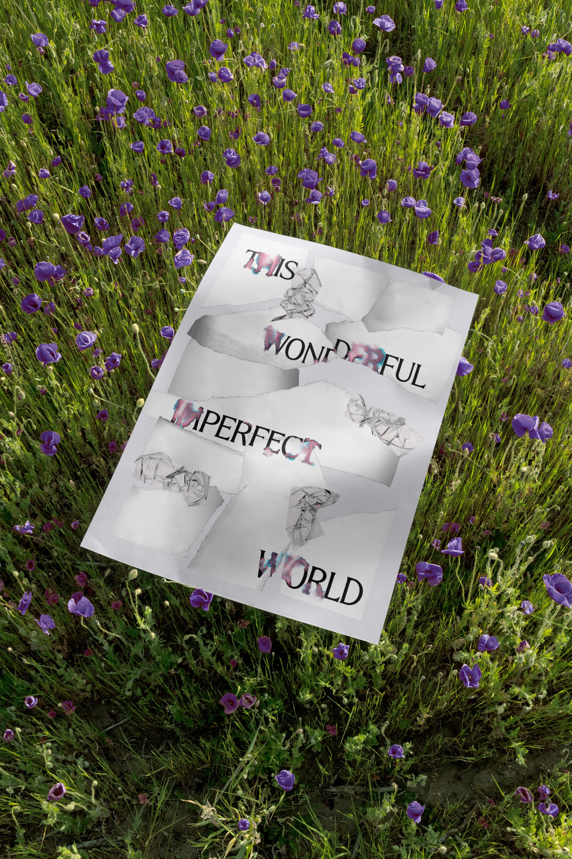 imperfect world