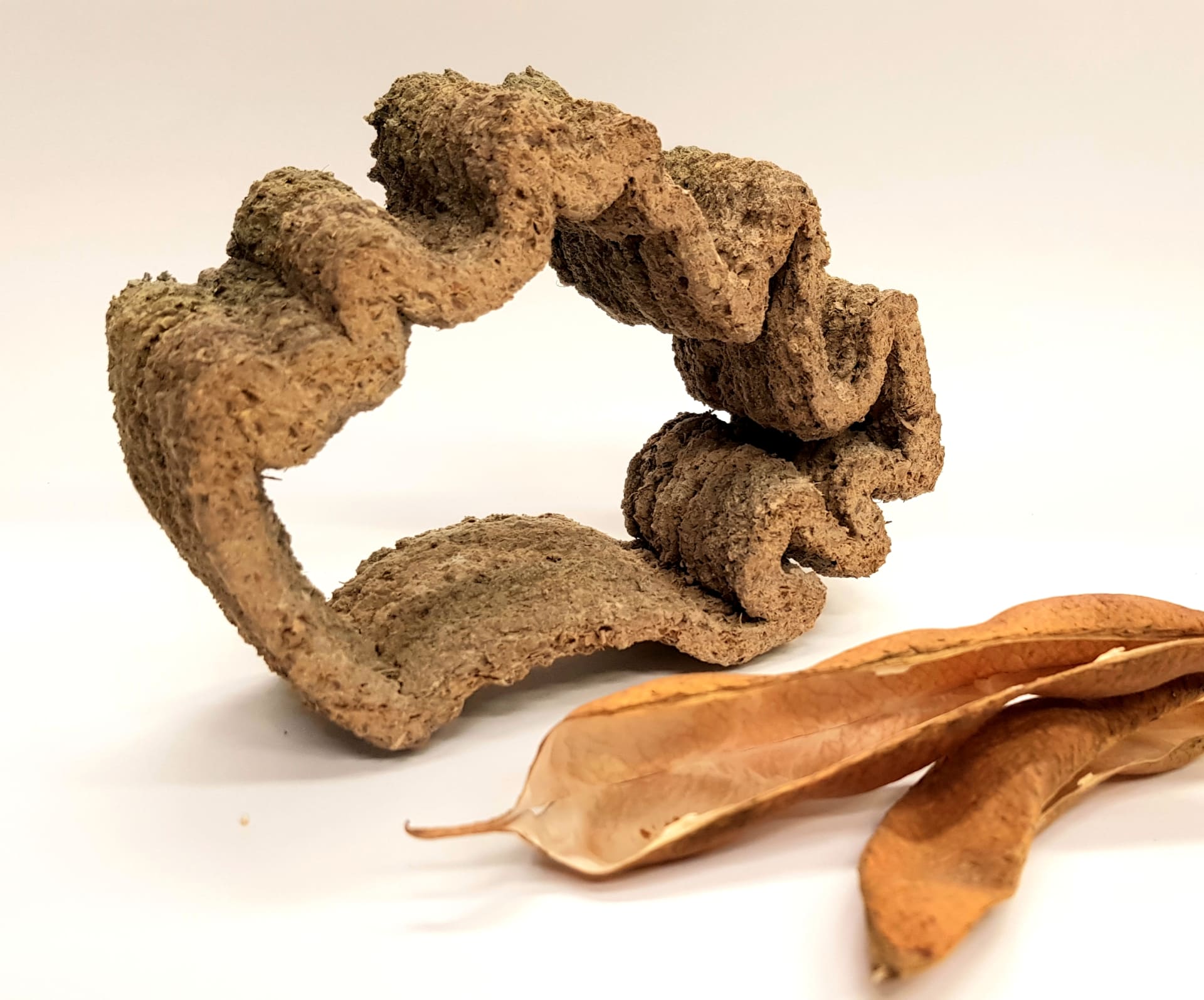 Faba-Forma: Beans' Vibrant Palette & Waste - Niki Dimova - UAL Showcase