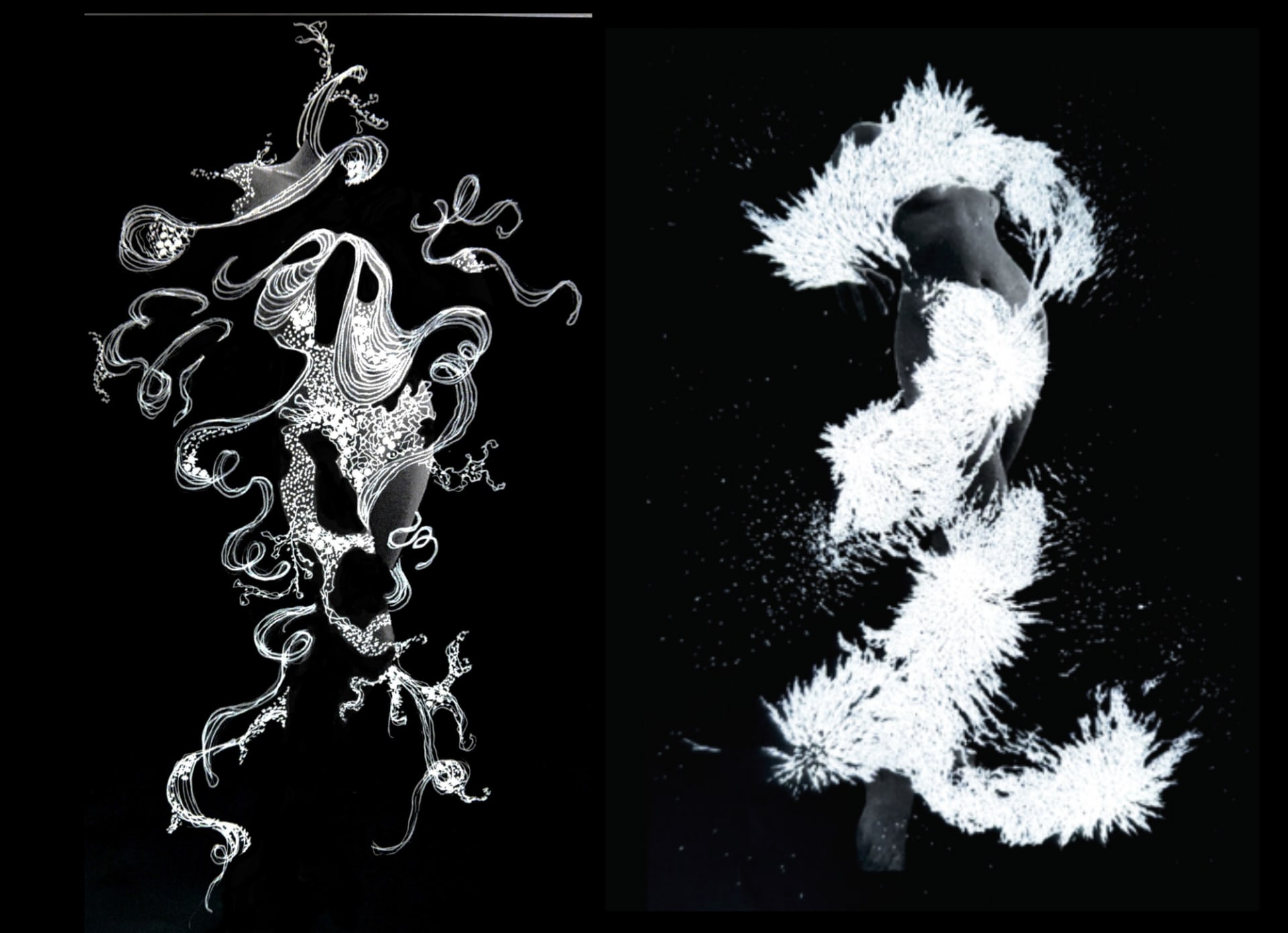 The Law of Duality - Abigail Gunning (Ziggy Gunn) - UAL Showcase