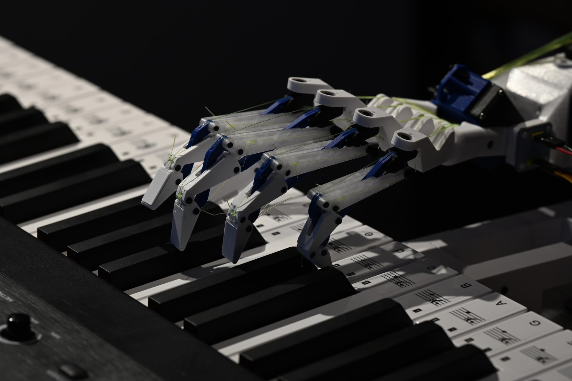 Symbion - Shuyang Wang - UAL Showcase