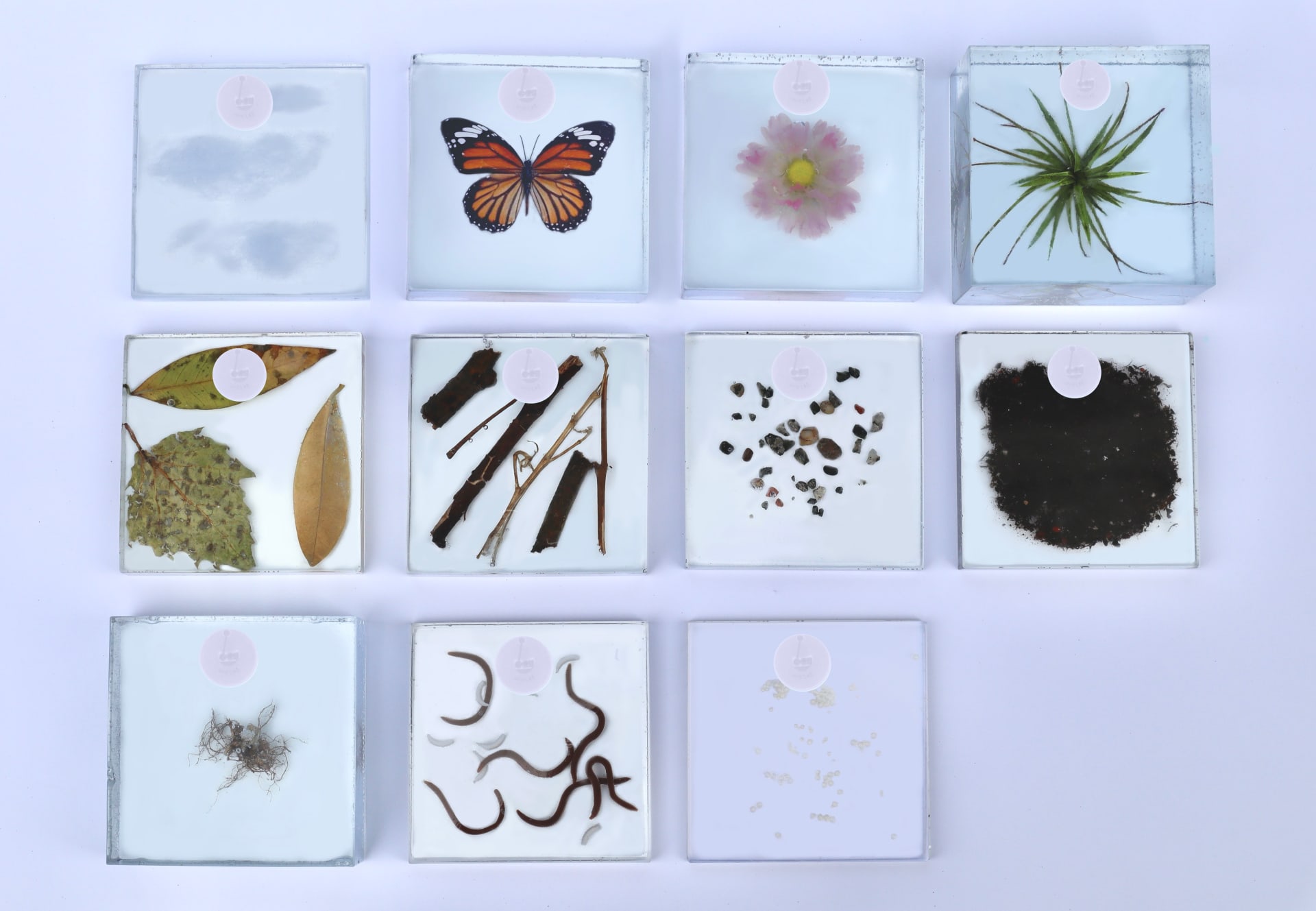 Sliced Nature - Wensi Yang - UAL Showcase