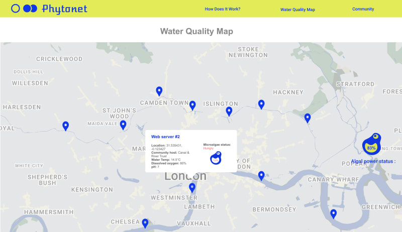 Phytonet - the Internet of water - Maria Li - UAL Showcase
