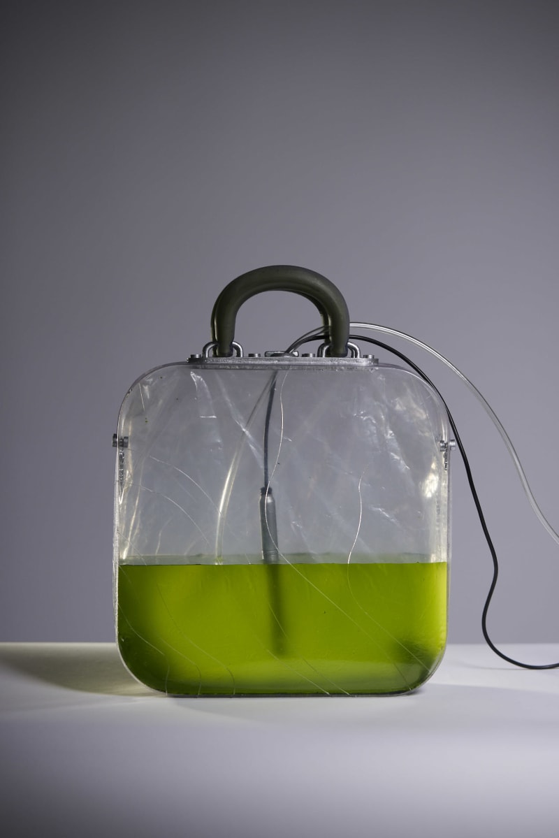 The Alginator - Jessica Evans - UAL Showcase