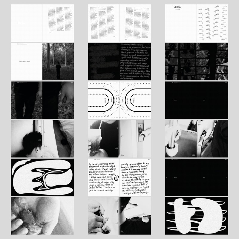 REWILDING IDENTITY - Lang Yang - UAL Showcase