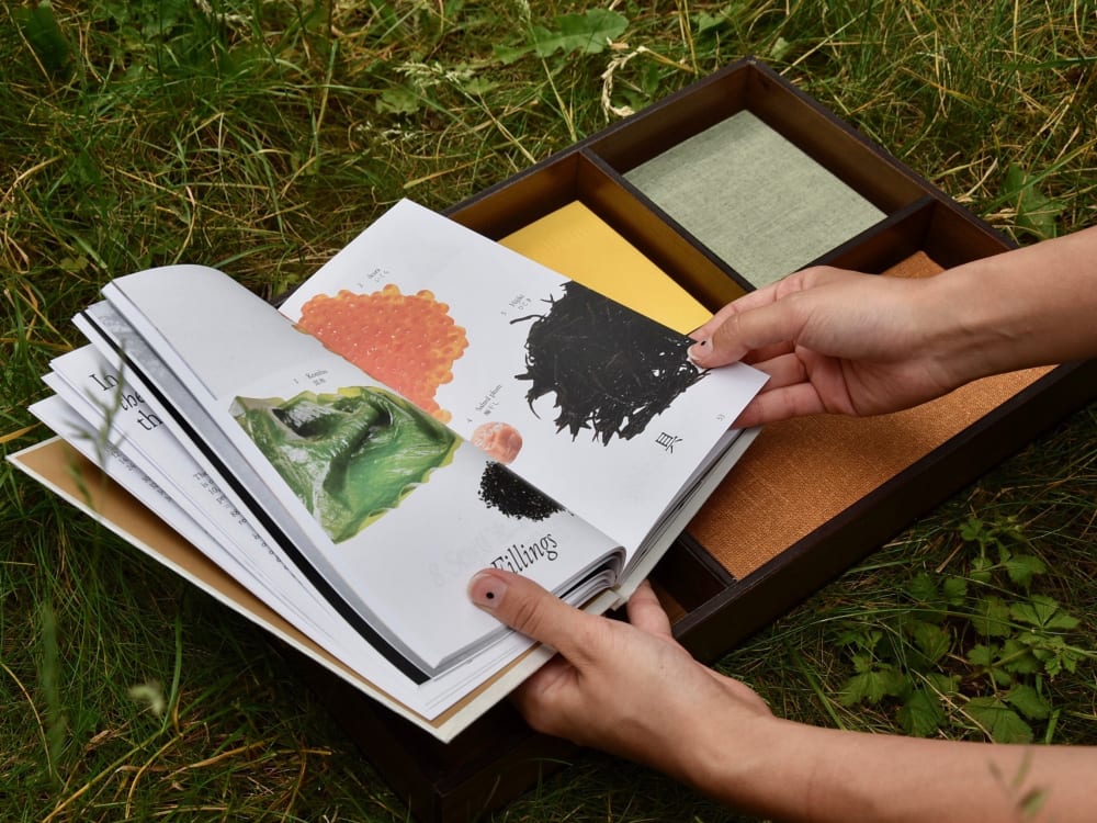 Course feature: Graphic Design Projects | UAL