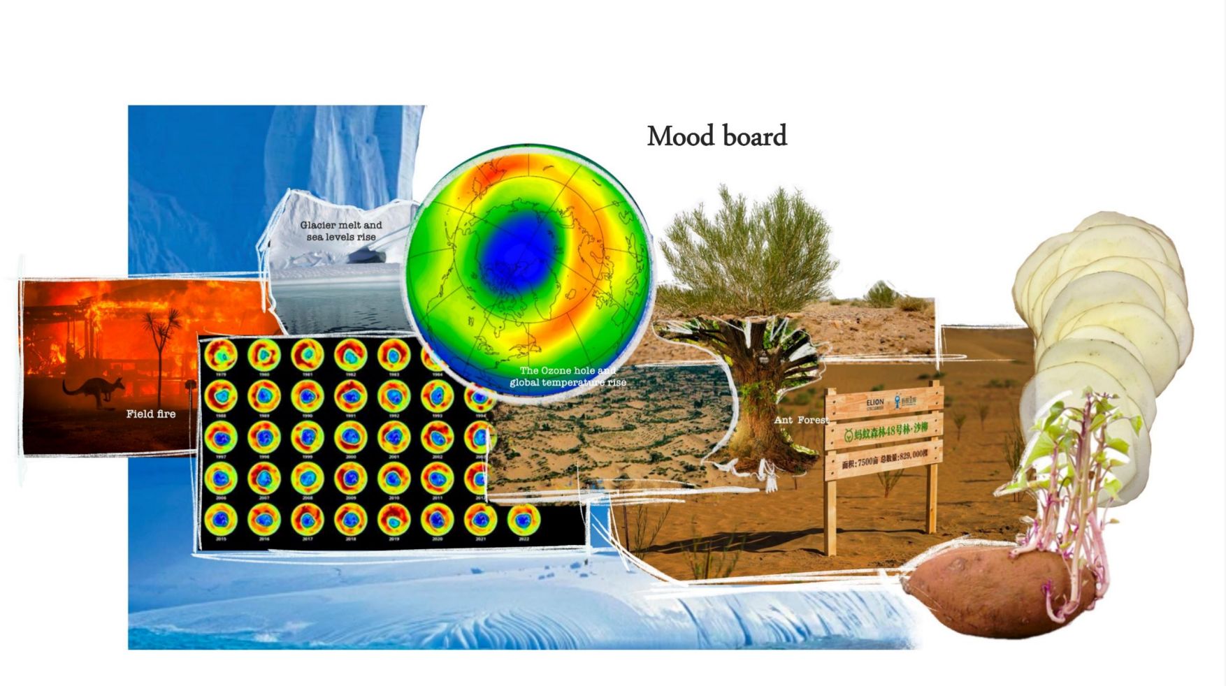 The Shape of UV Rays #ClimateCrisis2024 – UAL: Portfolio
