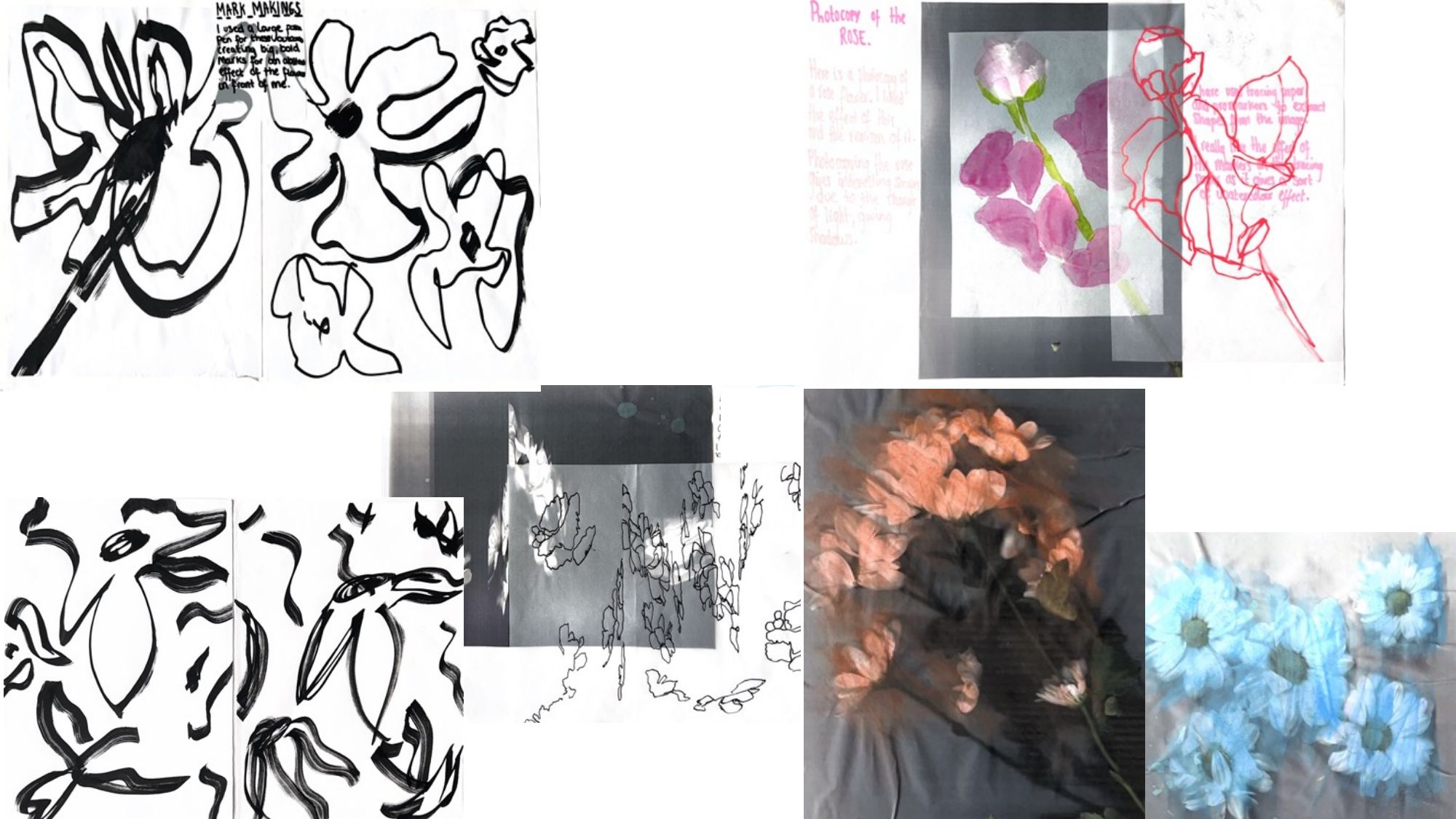 Experimental Process – UAL: Portfolio